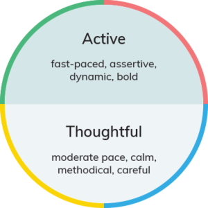 What is DiSC? Gain Insights Into Your Natural Behaviors